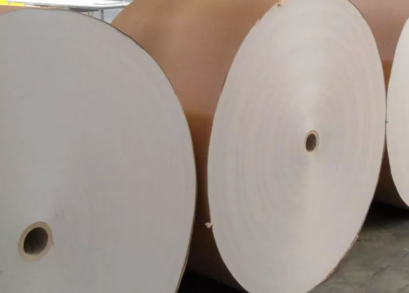 Packaging - Grupo Arteche Paper integra Corex